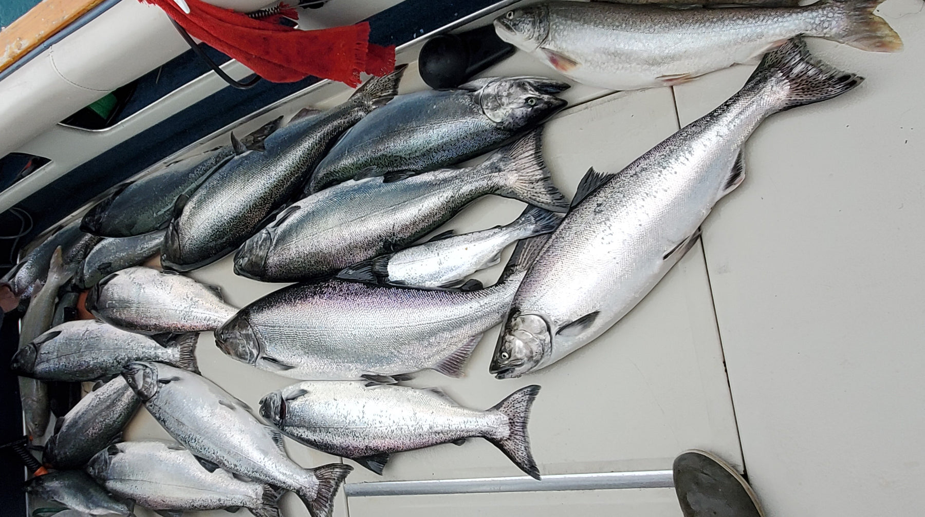 Rod Boss™ Shop – Rod Boss Shop