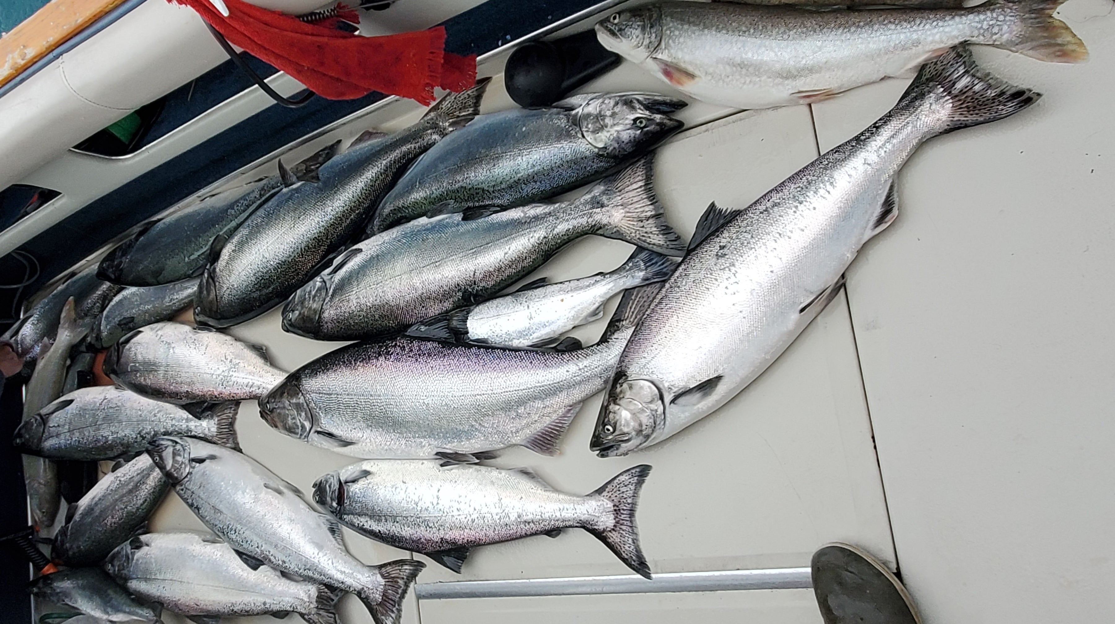 Rod Boss™ Shop – Rod Boss Shop